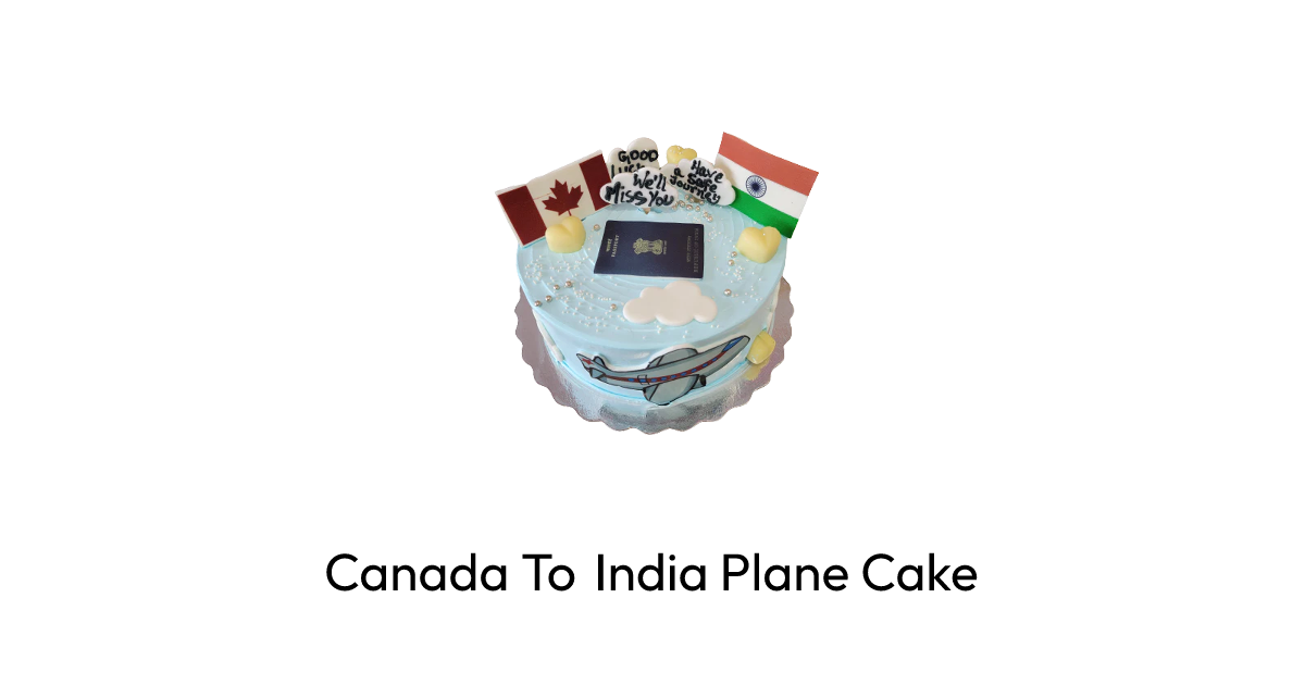 Canada To India Plane Cake | Rashmi's Bakery